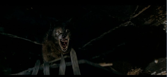 Wolfen (1981) - Whats After The Credits? | The Definitive After Credits ...