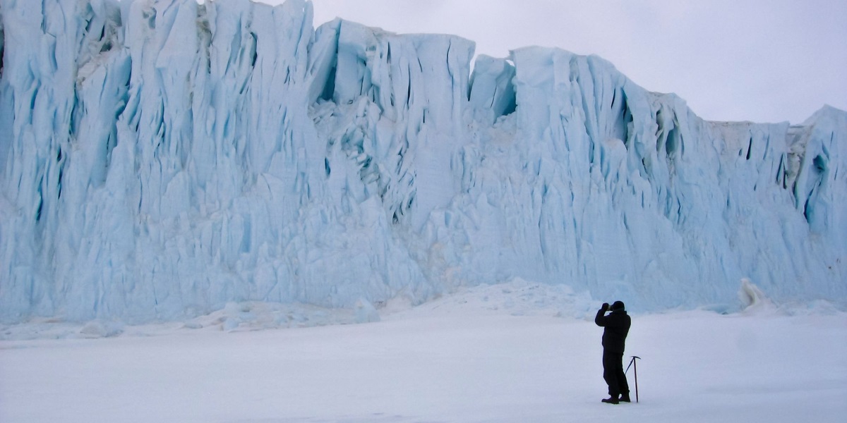 Antarctica: A Year on Ice (2013)* - Whats After The Credits? | The ...