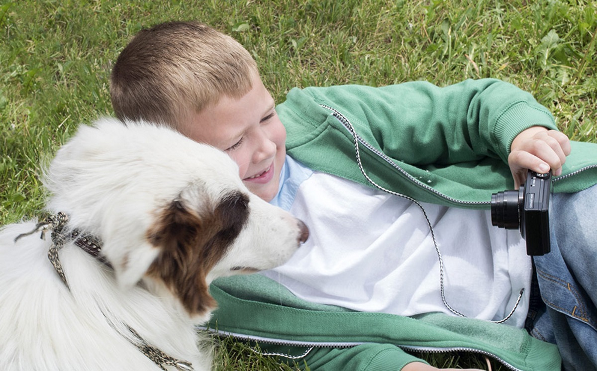 Stray, The (2017)* - Whats After The Credits? | The Definitive After ...